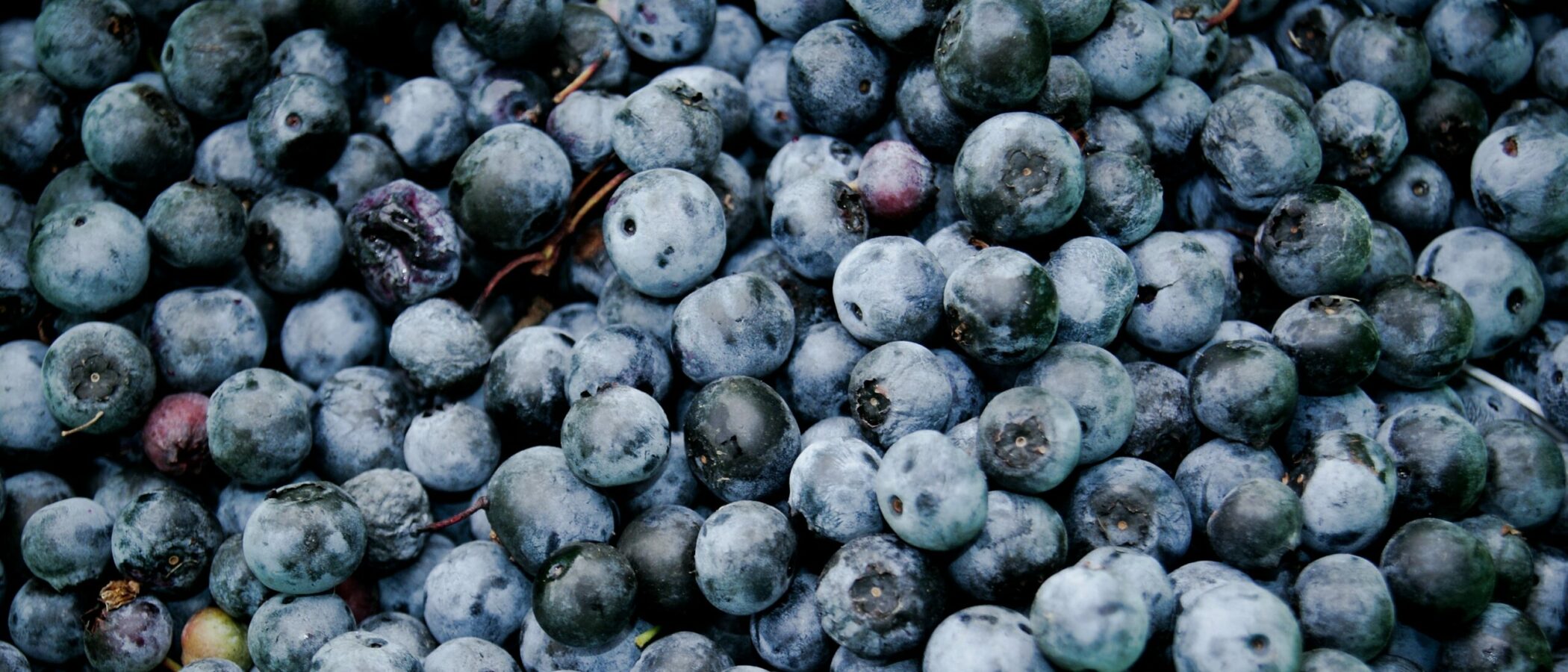 How to Use Your Meal Plan - Denison Dining Services